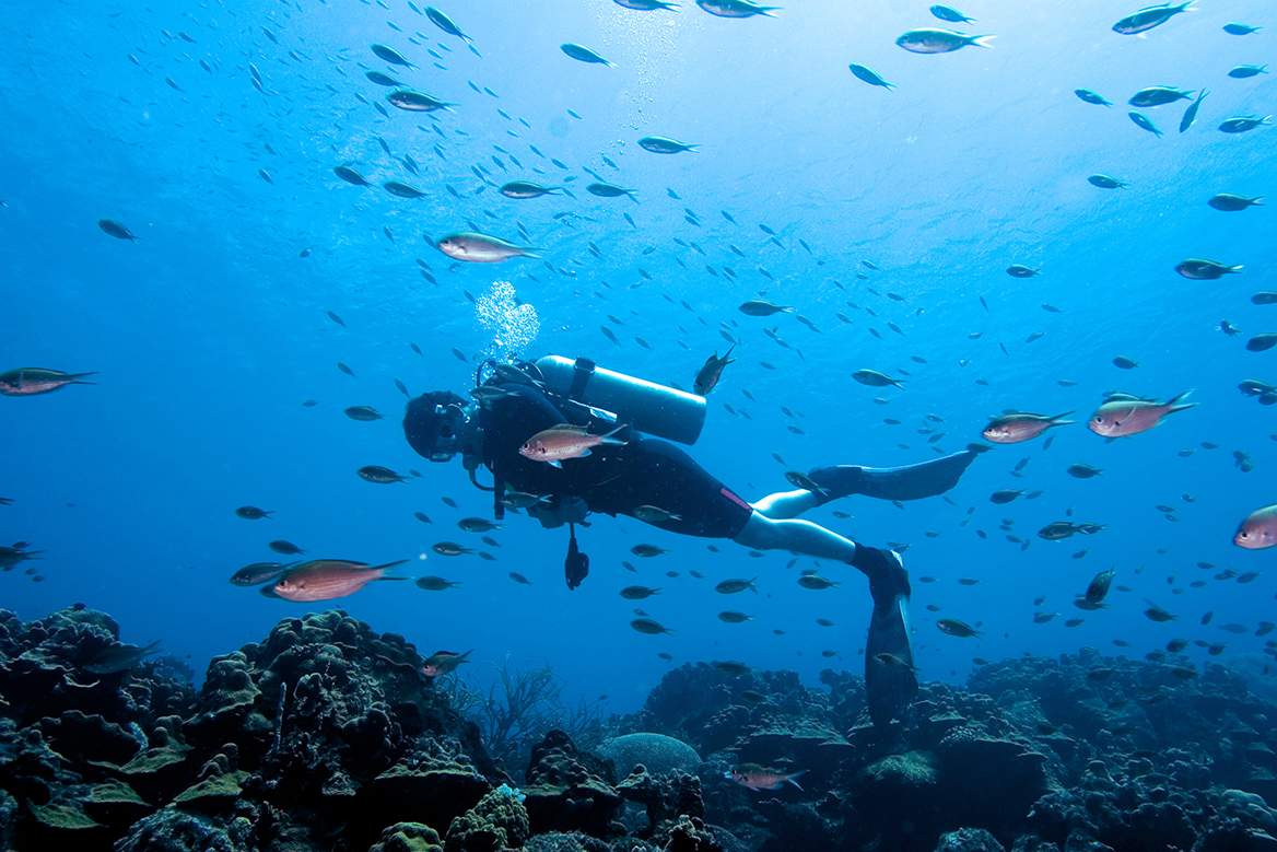 Home - Tropenwoning Curacao